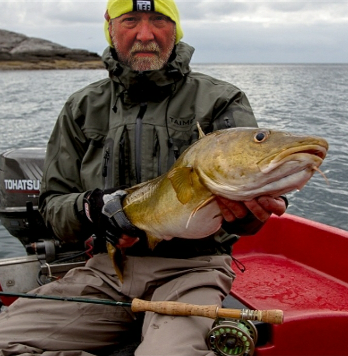 Greeenland Cod – Mark Goodwin's TYGER FORGE